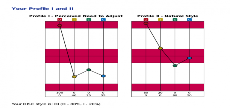 Extended DISC® Individual Analysis - OEC² Solutions LLC | Consulting ...