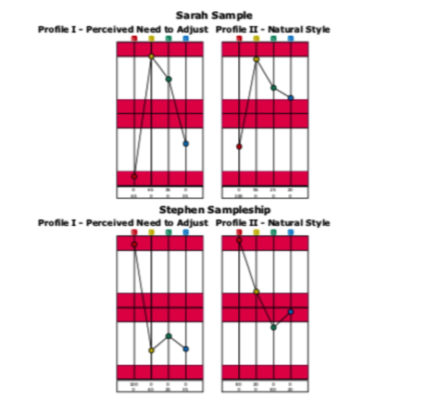 Extended DISC Work Pair Analysis - OEC² Solutions LLC | Consulting ...