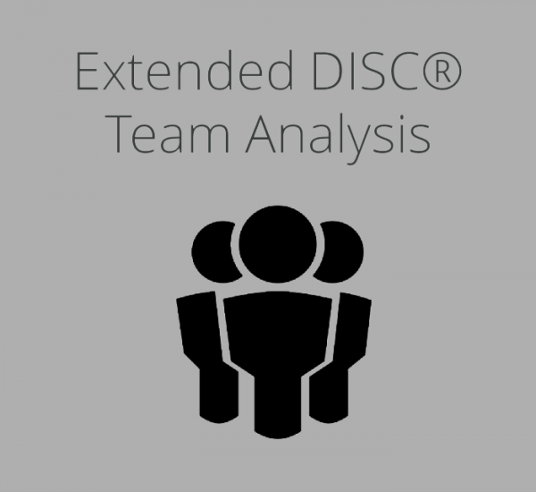 Extended DISC Team Analysis - OEC² Solutions LLC | Consulting ...